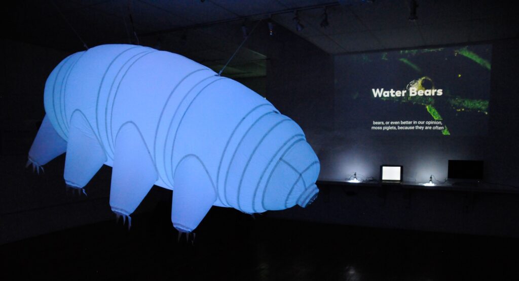 Space Bear - STEMarts lab Space Bear - STEMarts lab